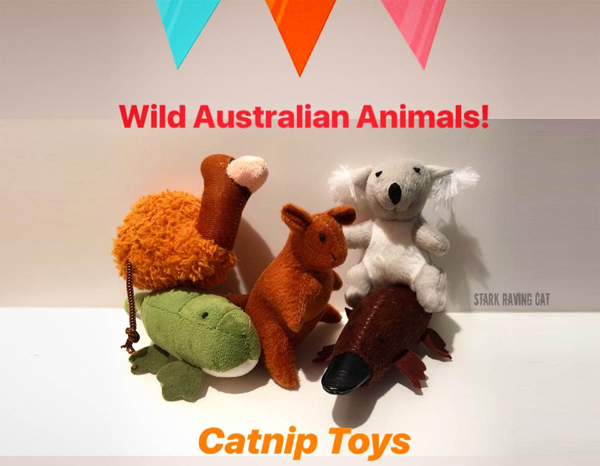 Stark Raving Cat | Catnip Joints, Cat Toys, Cards & Gifts