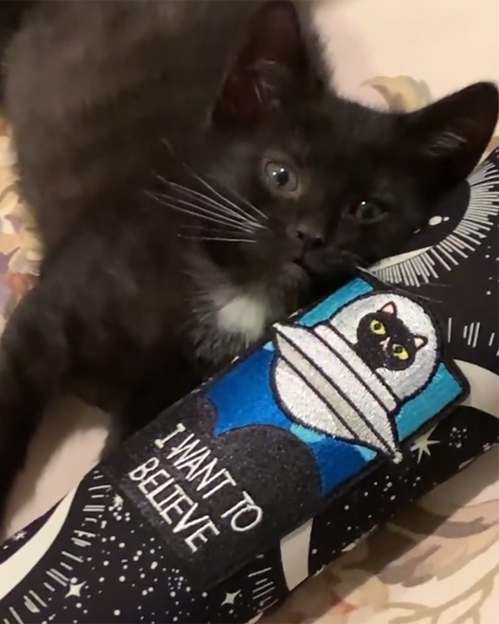 Stark Raving Cat | Catnip Joints, Cat Toys, Cards & Gifts